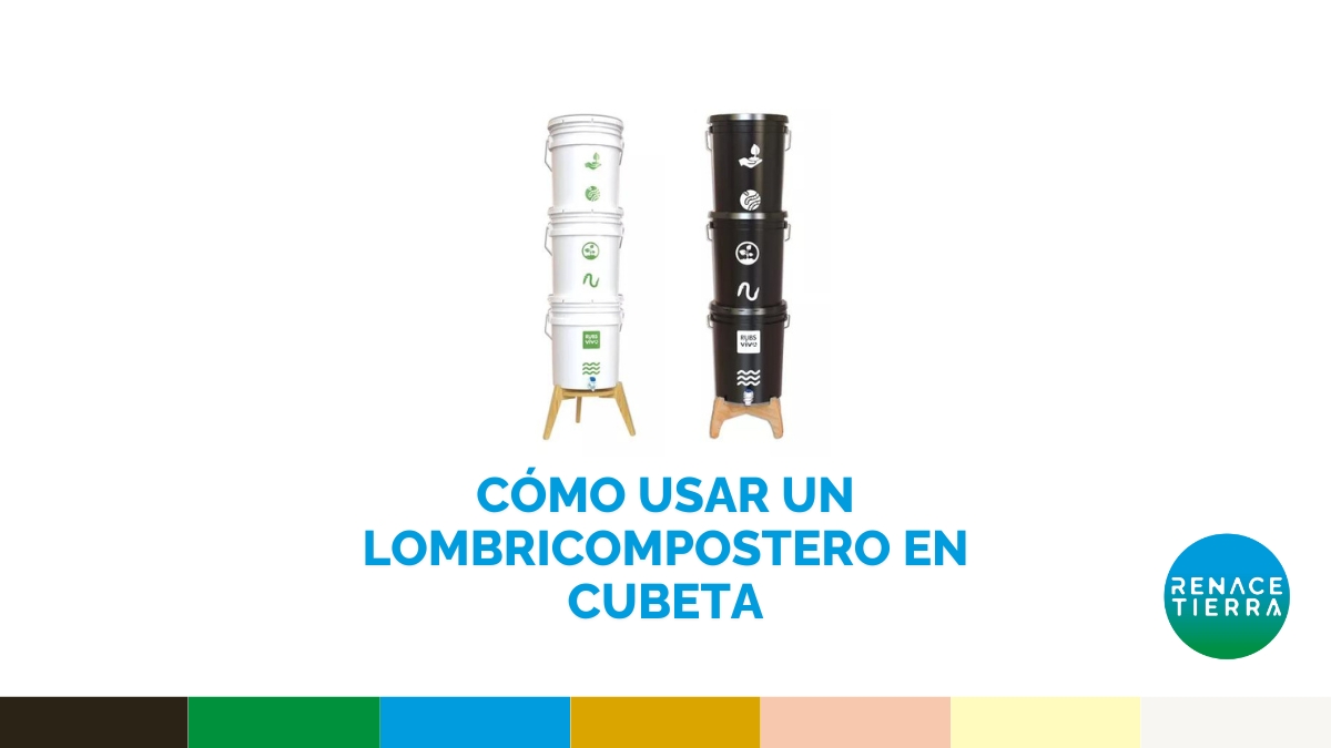 Cómo Usar un Lombricompostero en Cubeta: Guía Paso a Paso | Primera ...